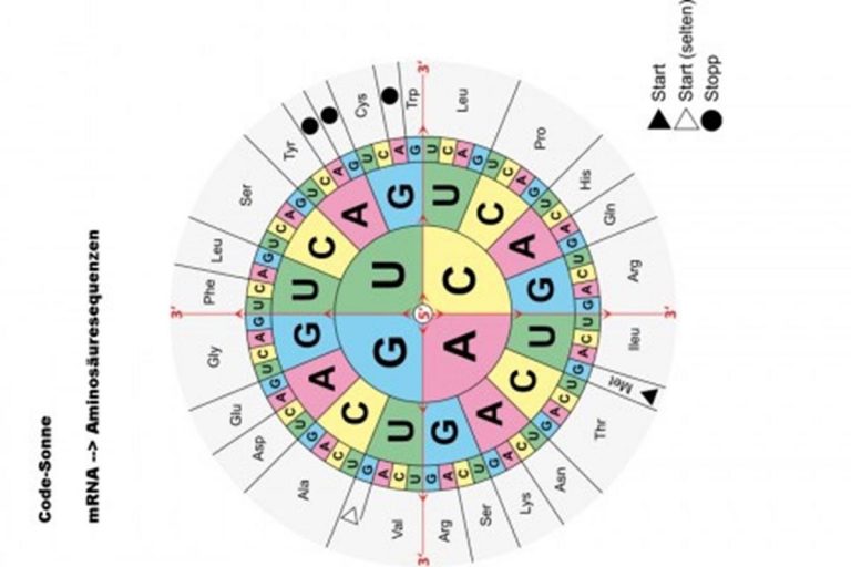 Code-Sonne(Aminosaeuresequenz) (gross) – Der geocaching Pod(ca)st